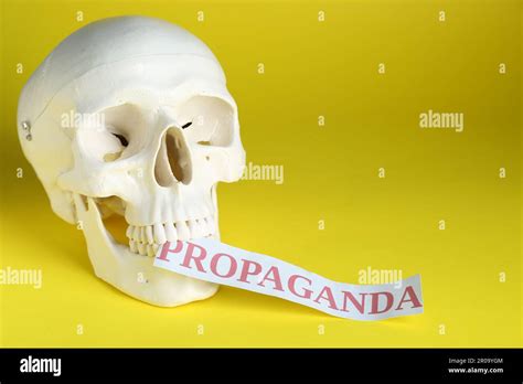Information Warfare Concept Human Skull And Paper Card With Word
