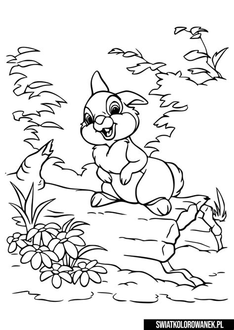 Kr Liczek Kolorowanka Darmowe Kolorowanki Do Druku