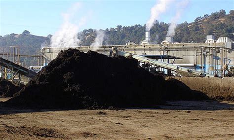 Mushroom Compost What It Is What It Does And How To Make It Epic Gardening