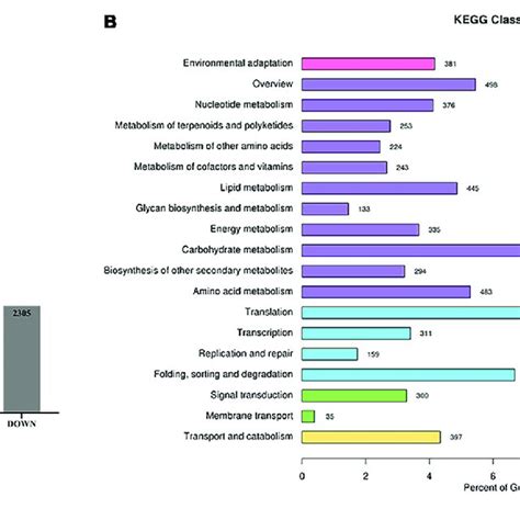 Rna Seq And Different Expression Genes Degs Analysis A