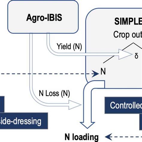 Connections Between Agro Ibis And Simple G Us Cs Yield N And N Loss