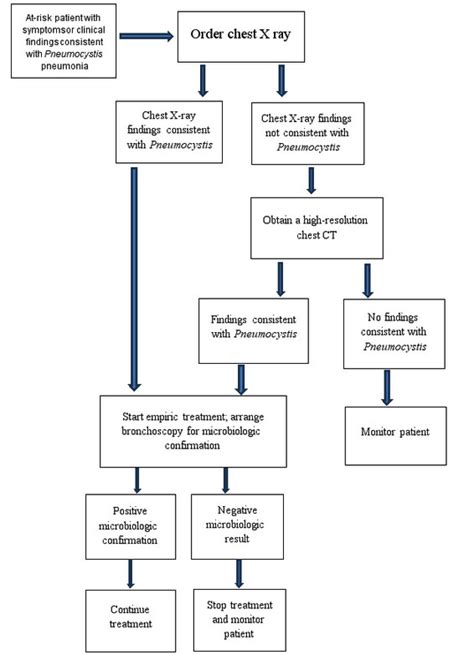 Diagnosis And Management Of Pneumocystis Pneumonia Hiv Care Tools