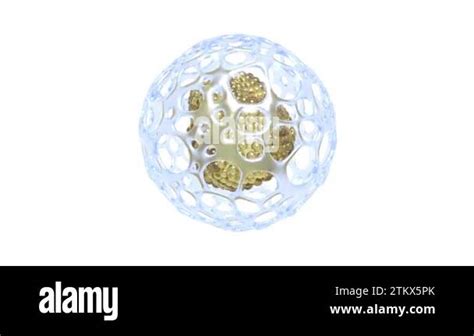 Schematic Representation Of A Living Cell With Intertwined Dna 4k Stock Video Footage Alamy