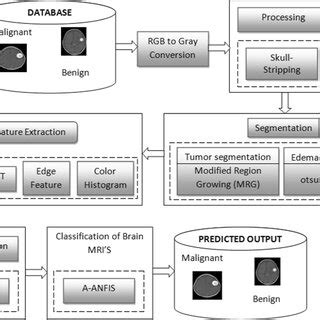 Pseudo Code For Skull Stripping Algorithm Download Scientific Diagram