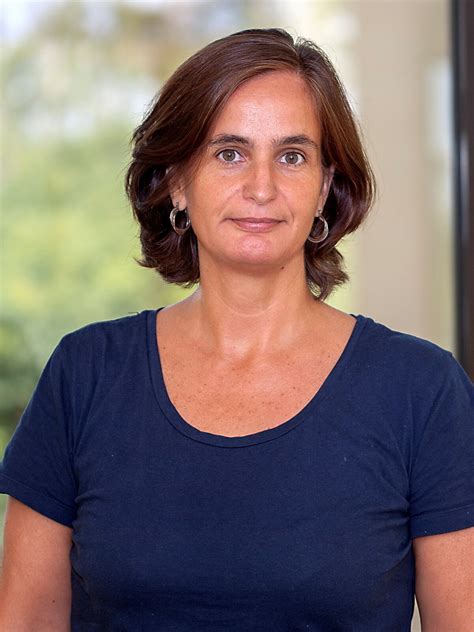Día Nacional De La Enfermería Por Qué La Investigación Es Clave Para
