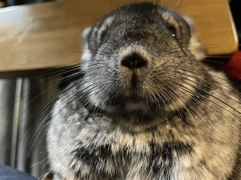 Jsmin Jsmin2 Twitter