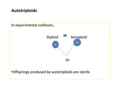 Polyploidy Pptx
