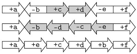 Parameterized Algorithms In Bioinformatics An Overview