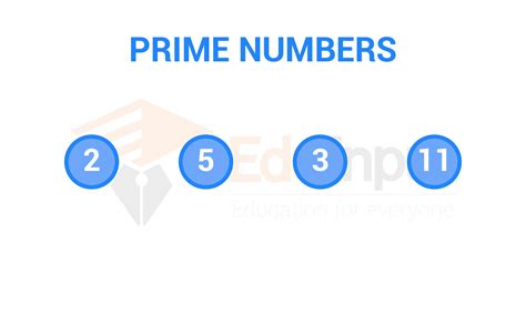 What Is A Prime Number Mean In Math