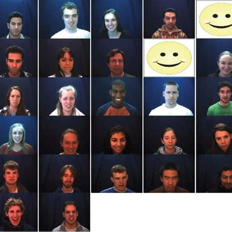PDF DISFA A Spontaneous Facial Action Intensity Database