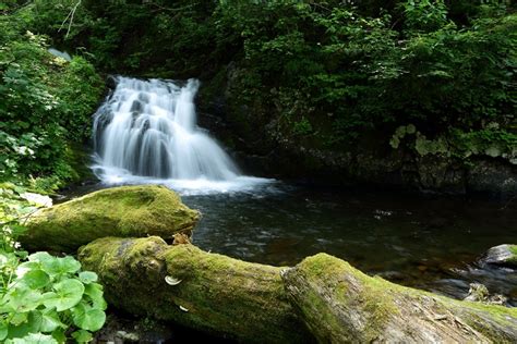 北海道の川を撮る 美深町仁宇布の冷水十六滝 かわたびほっかいどう