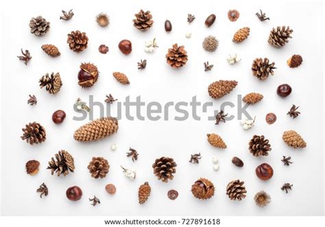 Pine Cone Minimal Images Stock Photos Vectors Shutterstock