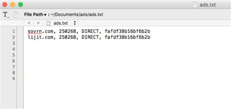 Ads Txt Implementation And FAQ