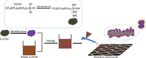 Preparation Schematic Of The Superhydrophobic L Cncpdms Or Download Scientific Diagram