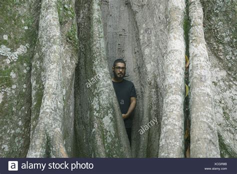 Man Hiding In Tree High Resolution Stock Photography And Images Alamy