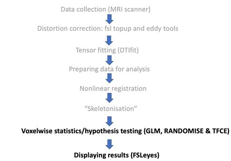 Diffusion Tensor Fitting And Tract Based Spatial Statistics Mri On Bear