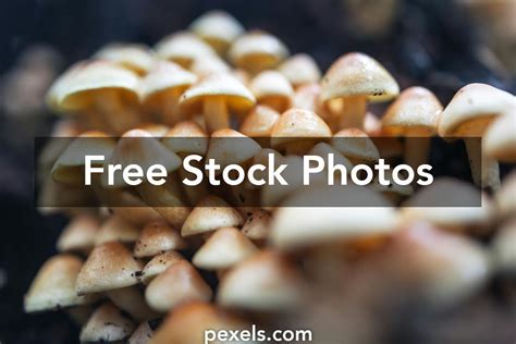 Integration Digram Photos Download The Best Free Integration Digram