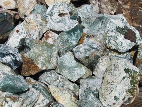 Tree Agate T Rocks In Quartzsite