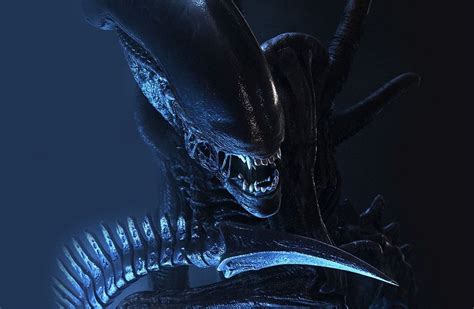 Xenomorph Tail Length Features And Anatomy Avp Central