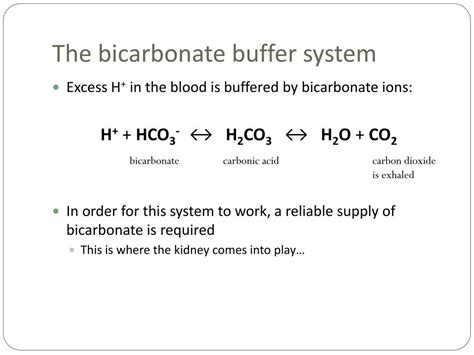 What Does The Bicarbonate Buffer System Do At Leslie Perry Blog
