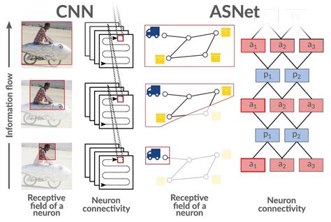 comparison between asnets and cnns [179] in a cnn successive download scientific diagram