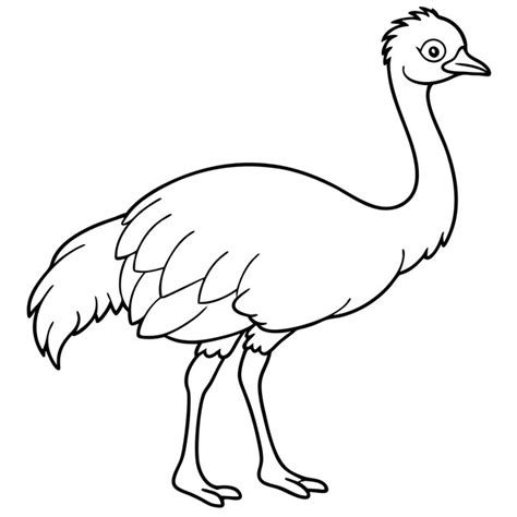 Emu Coloring Page Outline Vector Illustration Premium Ai Generated Vector