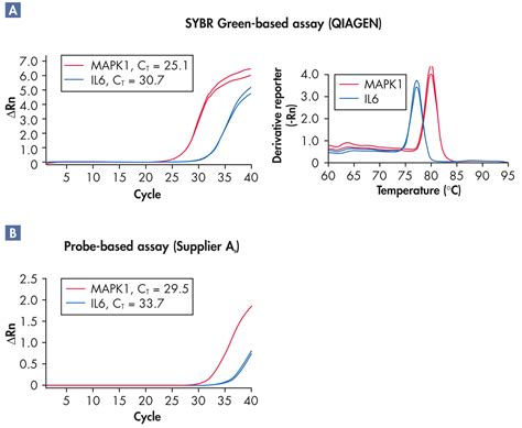 Hs Kit 1 Sg Quantitect Primer Assay Geneglobe