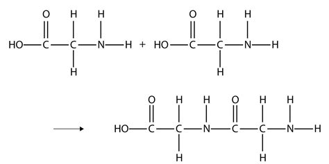 Polymers Structure