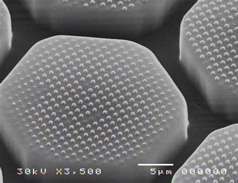 Sem Image Of The Pdms Mold With The Hexagonal Sustaining Structure Download Scientific Diagram