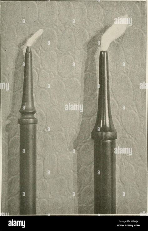 This Book Details The Use Of Electro Radiographic Tests For Determining Pulp Vitality In Dental