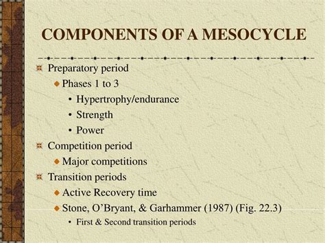 Ppt Periodization Powerpoint Presentation Free Download Id 444613