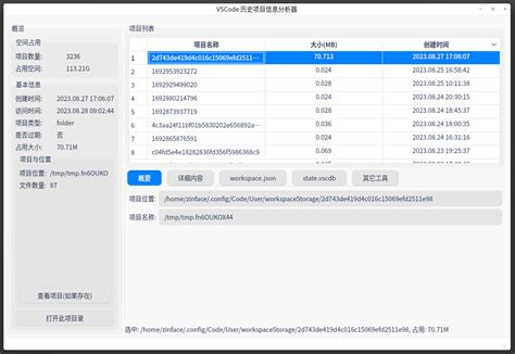 Vscode History Analyzer