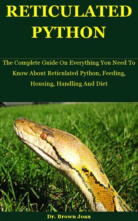 Buy Reticulated Python The Complete Guide On Everything You Need To