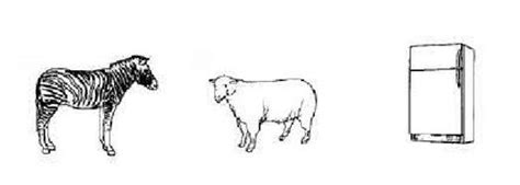 An Example Trial In Experiment 1 Download Scientific Diagram