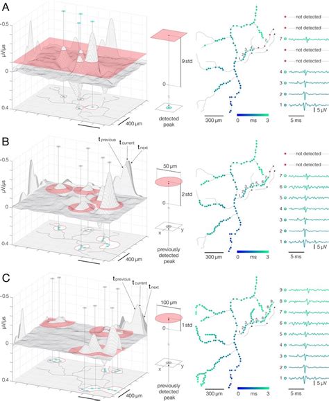Detection Of Action Potentials Propagating Across Axonal Arbors A A Download Scientific