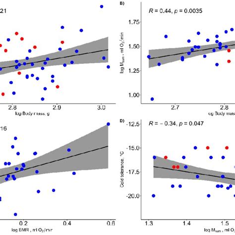 A The Relationship Between Log Bmr And Log Body Mass B The Download Scientific Diagram