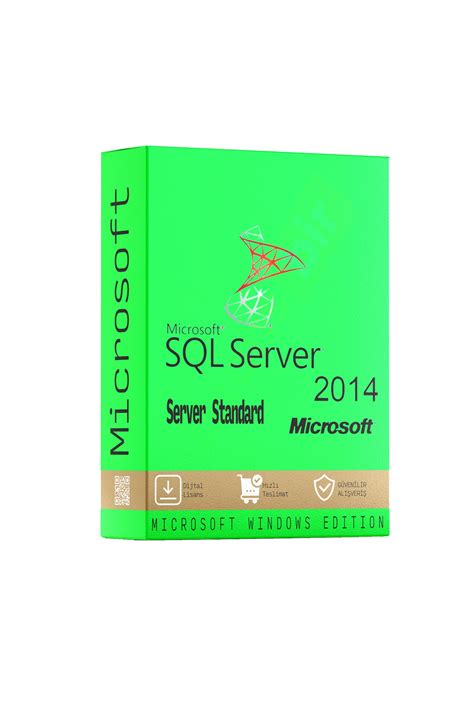 Sql Server 2014 Standard Lisans Bir
