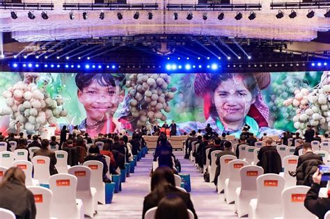 ក្រុមហ៊ុននាំចេញ៖ ប្រជាជន ចិន គាំទ្រខ្លាំងលើផលិតផលផ្លែមៀនស្រស់របស់កម្ពុជា