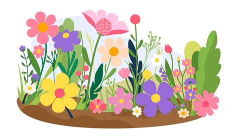 Soft Wildflowers Summer Fiield Fresh Flowers Herbs And Grass