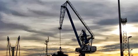Level Luffing Cranes