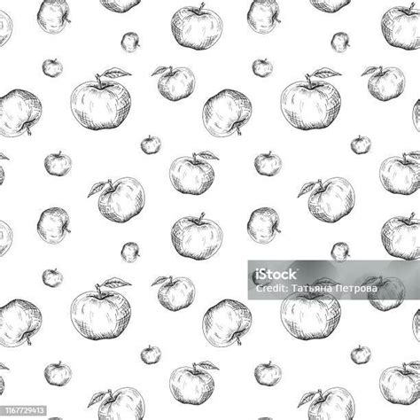 애플 배경 흰색 배경에 손으로 그린 검은 사과의 원활한 패턴 스케치 스타일 벡터 배경입니다 사과에 대한 스톡 벡터 아트 및 기타 이미지 Istock