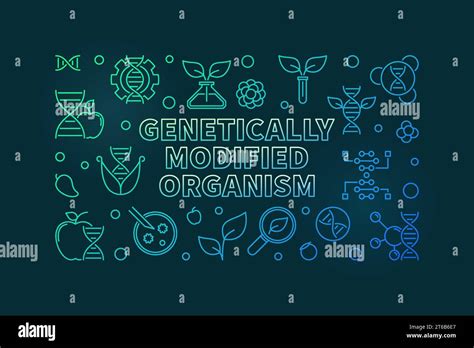 Genetically Modified Organism Vector Linear Colorful Horizontal Illustration On Dark Background