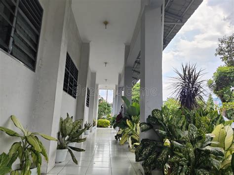 There Are Many Plants In The School Corridor Stock Image Image Of