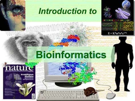 Introduction To Bioinformatics 1ppt