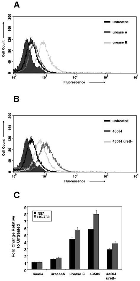 Cd74 Expression By Gastric Epithelial Cell Lines Exposed To Urease B Is