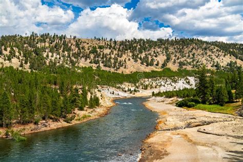 Iconic Yellowstone River Flowing Through Yellowstone National Park In