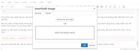 Hướng dẫn thêm chức năng Upload Image cho TinyMCE NhanDev