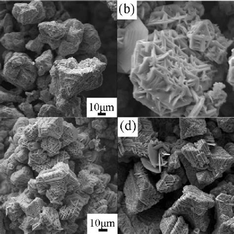 Cus Samples With Hierarchical Architectures At Different Reaction Download Scientific Diagram