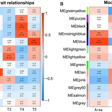 A Module Trait Associations Estimated Using Correlations Between Module