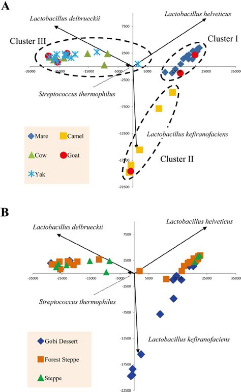 Two Dimensional Scatter Plot Of Pc1 And Pc2 Scores From The Principal
